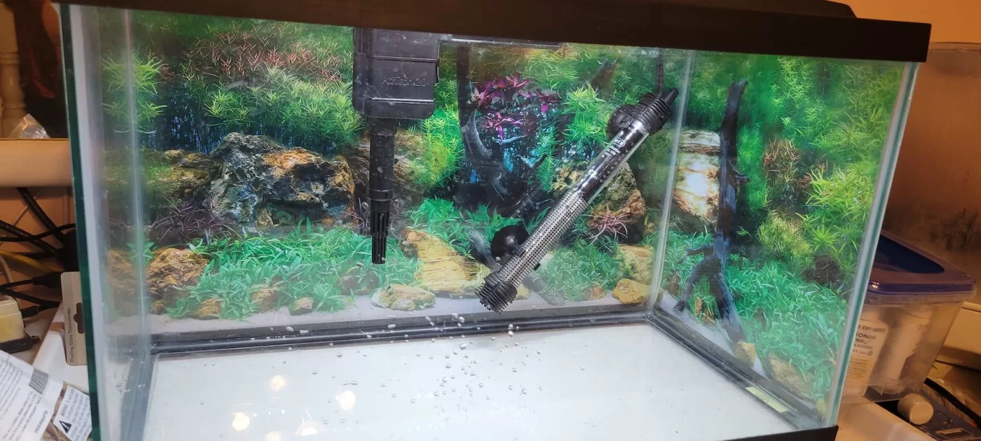 Where to Place Your Aquarium Heater: Even Heat & Happy Fish - Pete's ...
